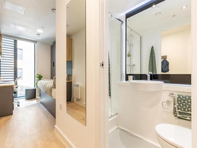 1 bedroom flat share to rent