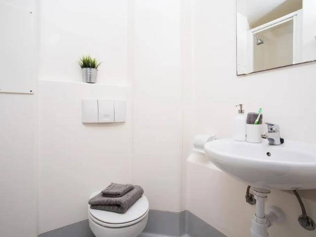 1 bedroom flat share to rent