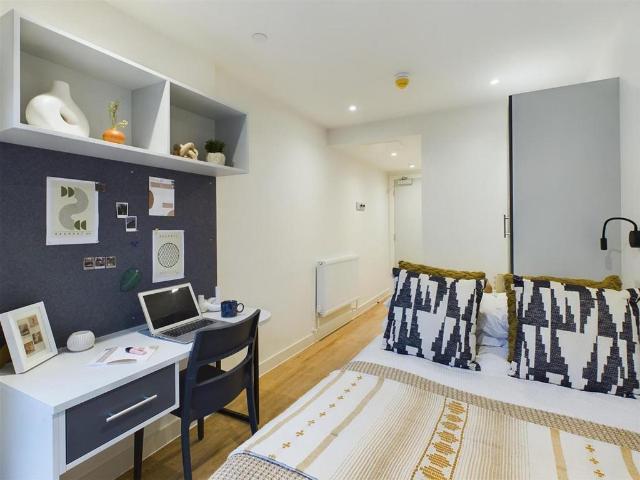 1 bedroom flat share to rent