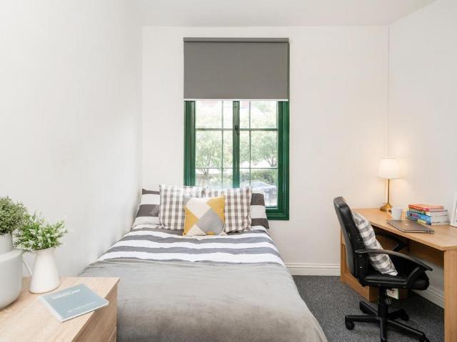 1 bedroom flat share to rent