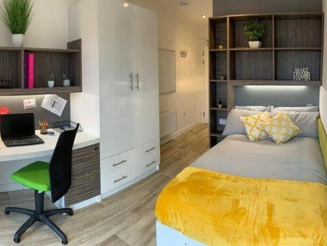 1 bedroom flat share to rent