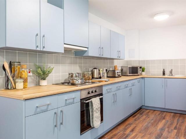1 bedroom flat share to rent