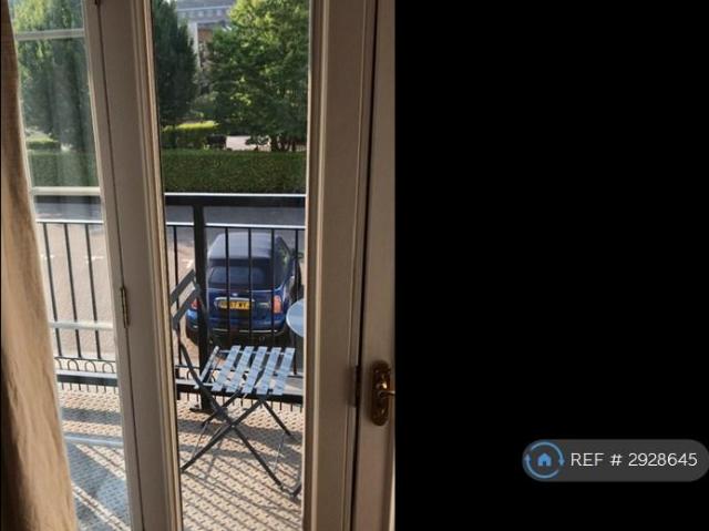 1 bedroom flat share to rent