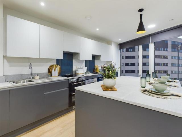1 bedroom flat share to rent