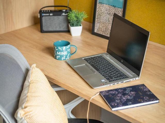 1 bedroom flat share to rent