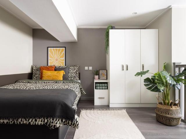 1 bedroom flat share to rent