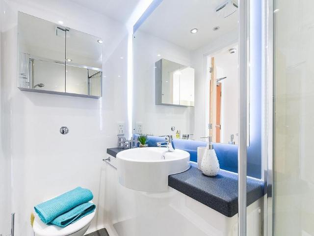 1 bedroom flat share to rent