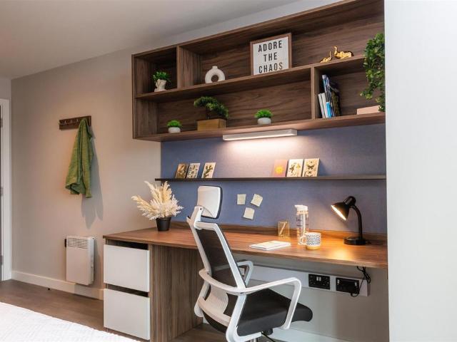 1 bedroom flat share to rent