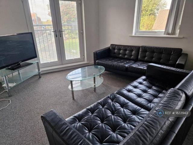1 bedroom flat share to rent