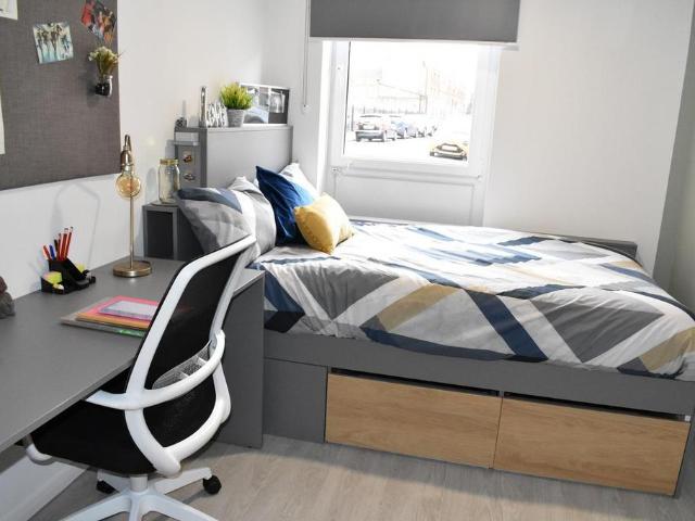 1 bedroom flat share to rent