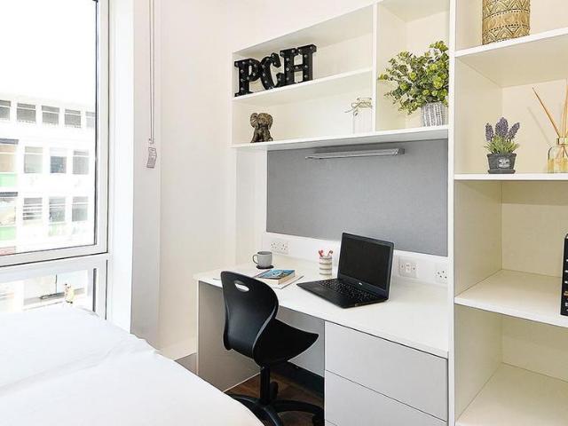 1 bedroom flat share to rent