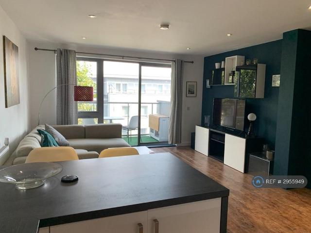 1 bedroom flat share to rent