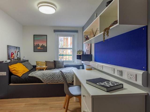 1 bedroom flat share to rent