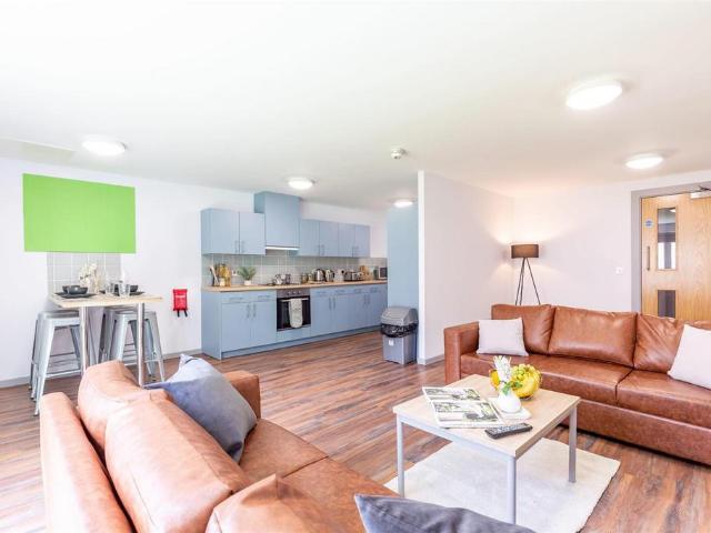 1 bedroom flat share to rent