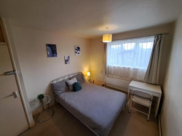 1 bedroom flat share to rent