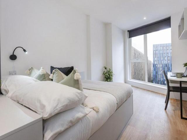 1 bedroom flat share to rent
