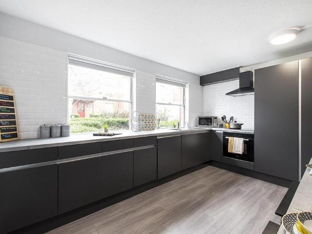 1 bedroom flat share to rent