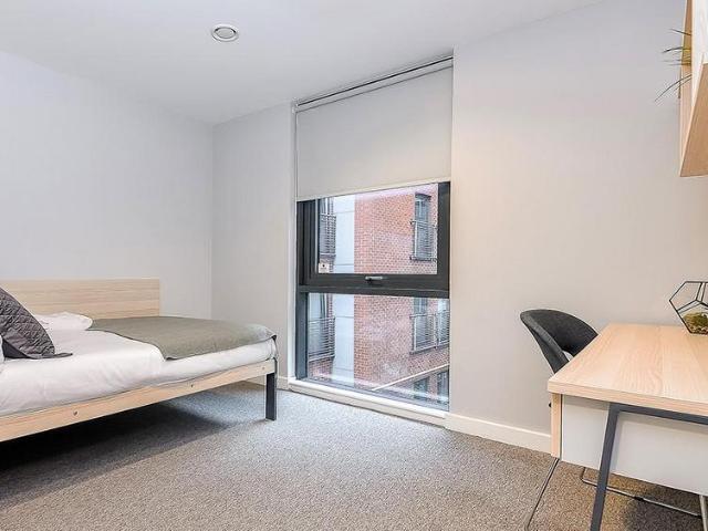 1 bedroom flat share to rent