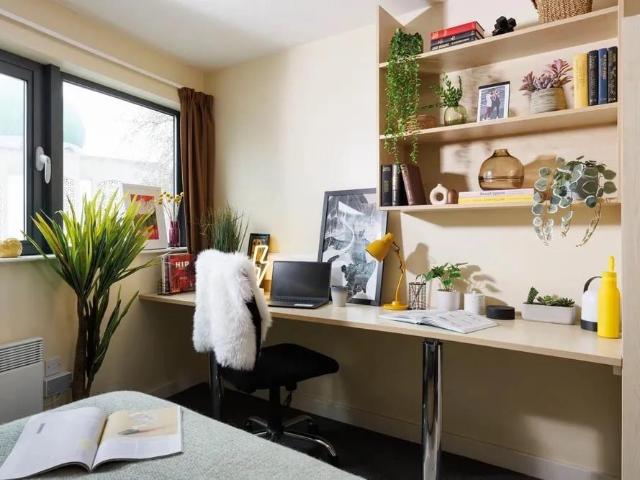 1 bedroom flat share to rent