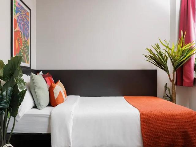 1 bedroom flat share to rent