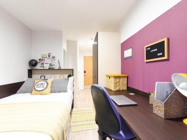 1 bedroom flat share to rent