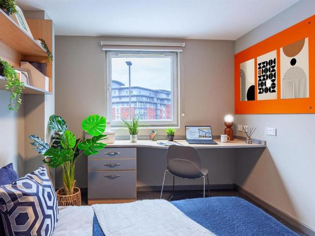 1 bedroom flat share to rent