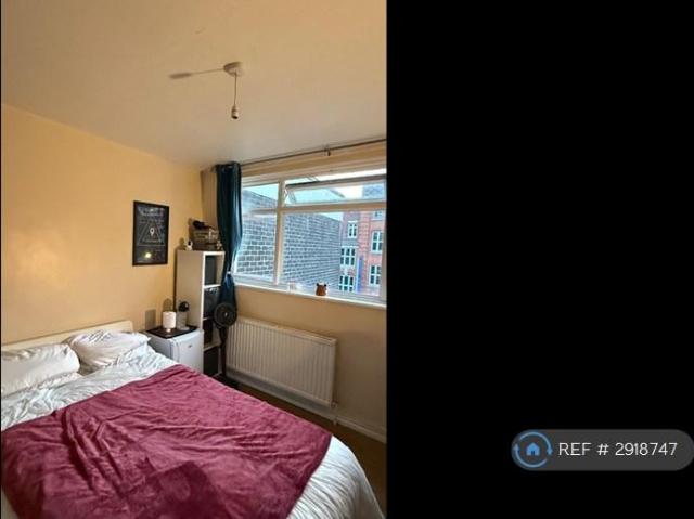 1 bedroom flat share to rent