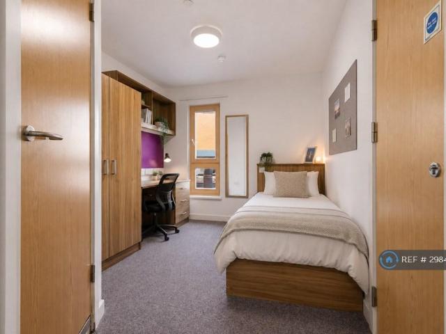 1 bedroom flat share to rent