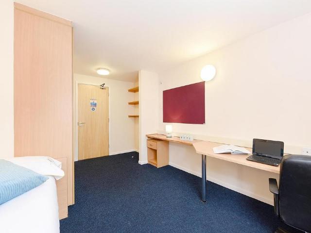 1 bedroom flat share to rent