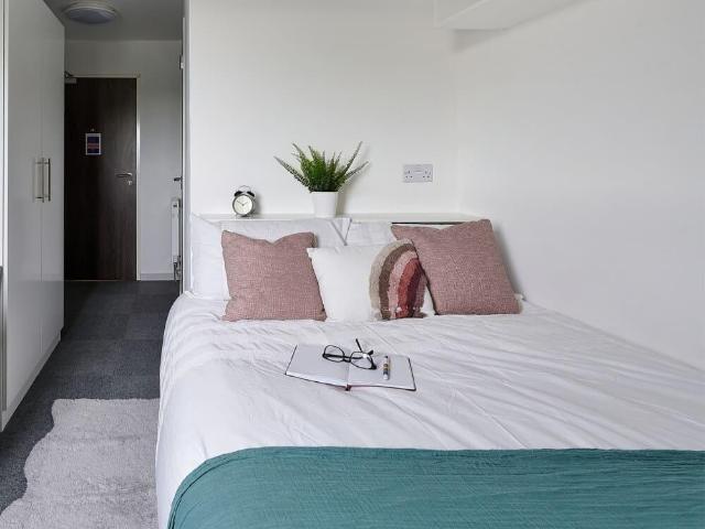 1 bedroom flat share to rent