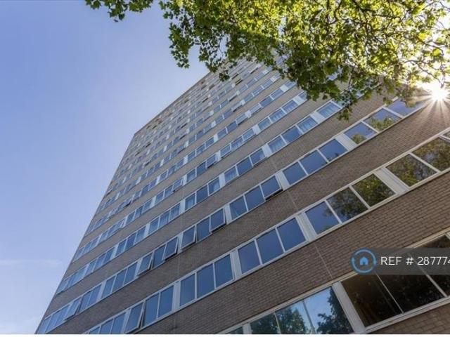 1 bedroom flat share to rent