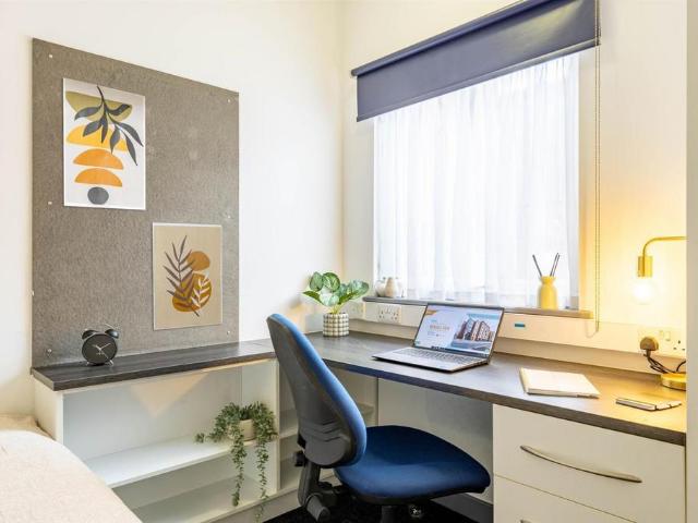 1 bedroom flat share to rent