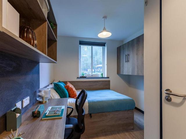 1 bedroom flat share to rent