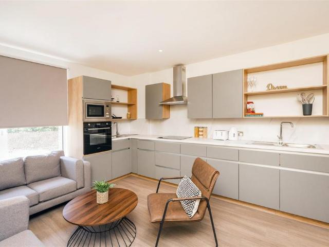 1 bedroom flat share to rent