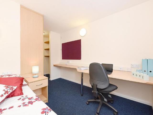 1 bedroom flat share to rent