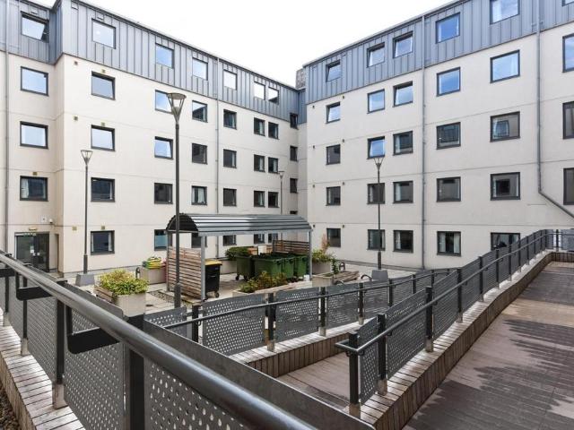 1 bedroom flat share to rent
