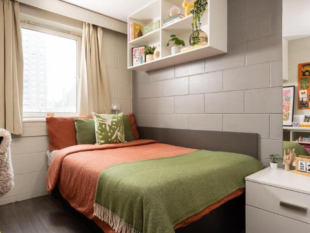 1 bedroom flat share to rent