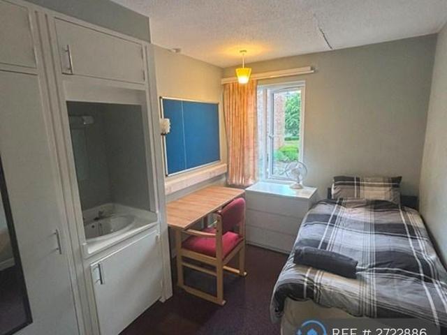 1 bedroom flat share to rent