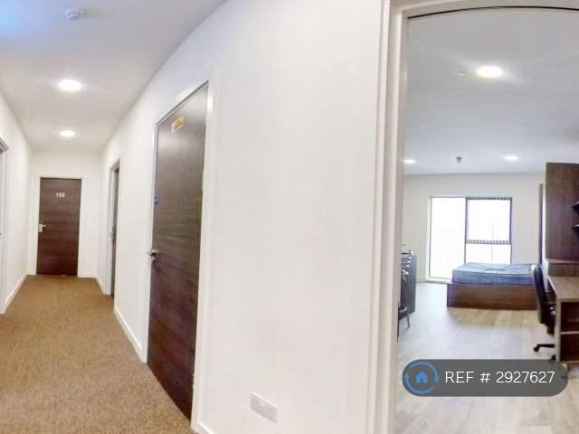 1 bedroom flat share to rent