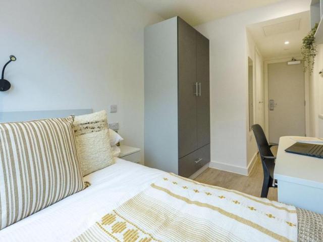 1 bedroom flat share to rent