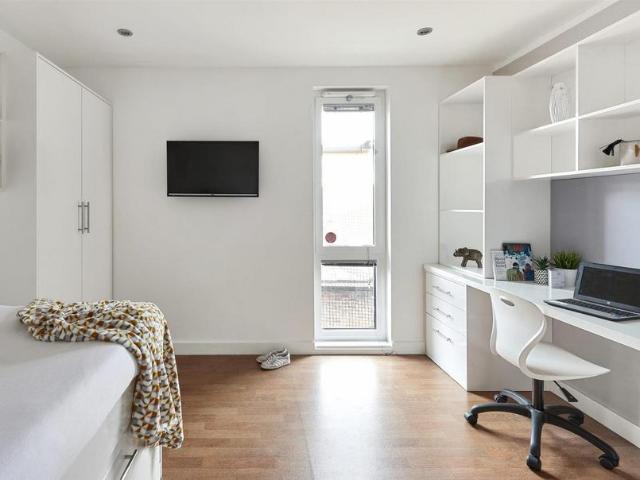 1 bedroom flat share to rent