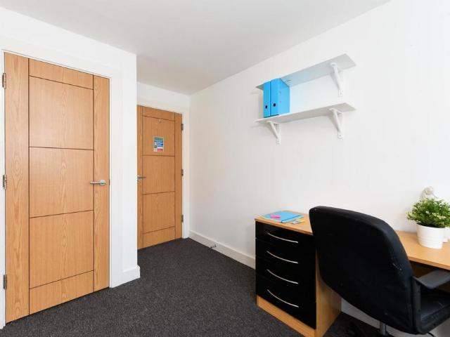 1 bedroom flat share to rent
