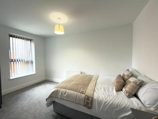 1 bedroom flat share to rent
