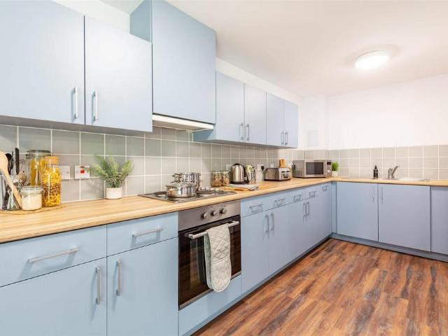 1 bedroom flat share to rent
