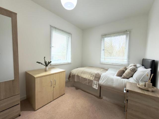 1 bedroom flat share to rent
