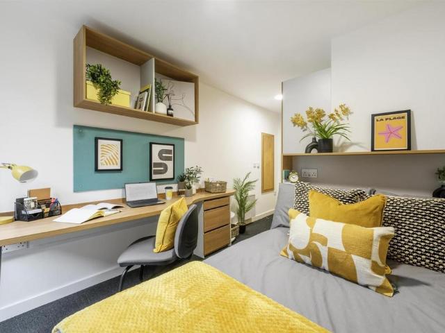 1 bedroom flat share to rent