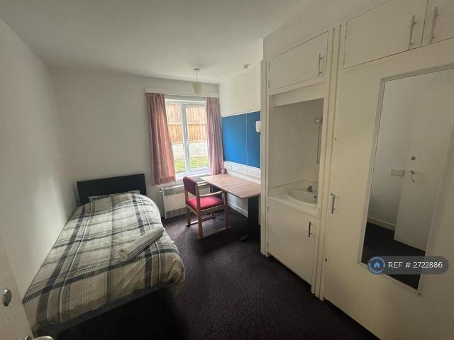 1 bedroom flat share to rent