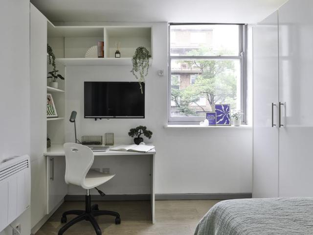1 bedroom flat share to rent