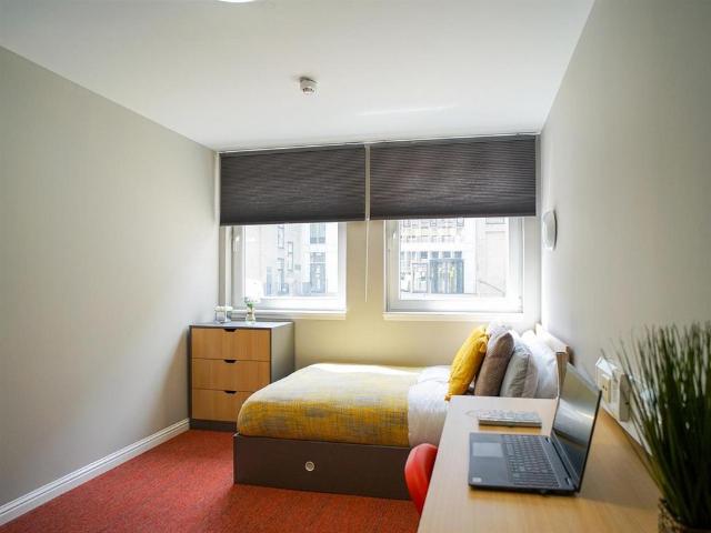 1 bedroom flat share to rent