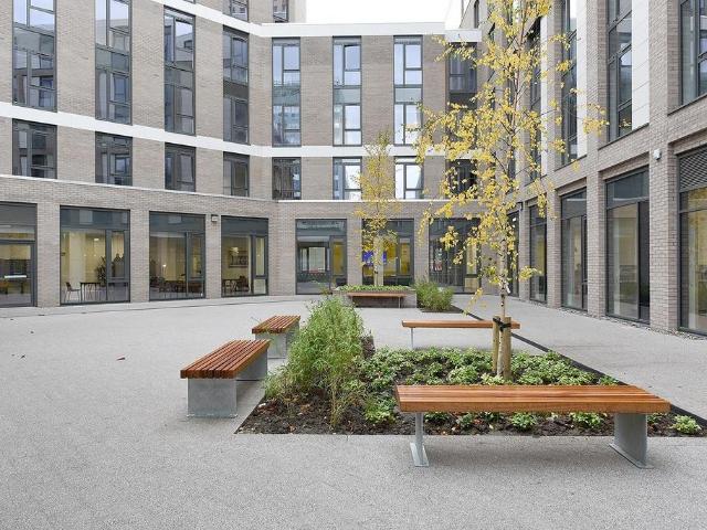 1 bedroom flat share to rent
